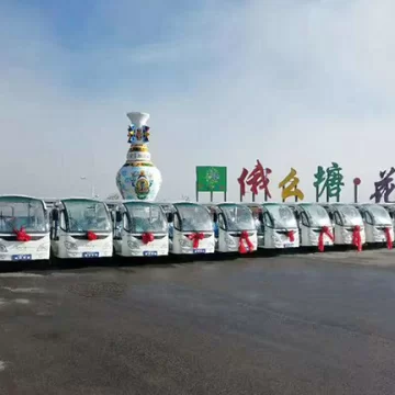 Electric Sightseeing Buses in Emutang Flower Sea Scenic Area